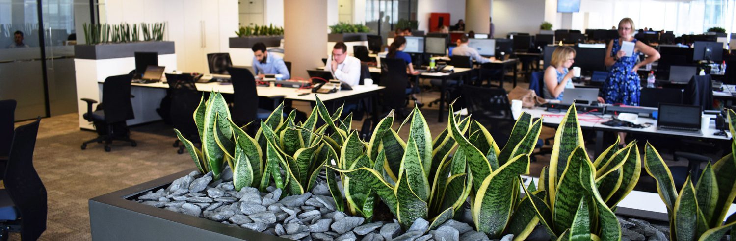 Sapphire Systems - JAC Group